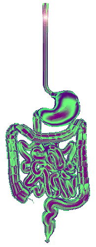 science 6pd at emaze Presentation