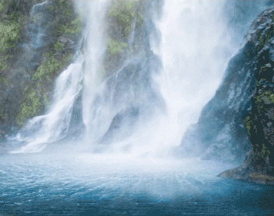 Resources GIF - Find & Share on GIPHY