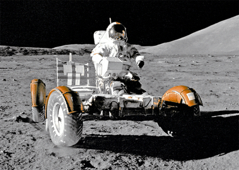 Rover GIF - Find & Share on GIPHY