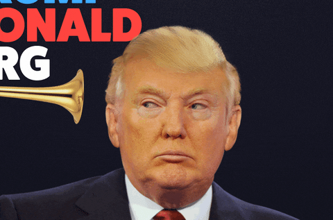 Donald Trump GIF - Find & Share on GIPHY