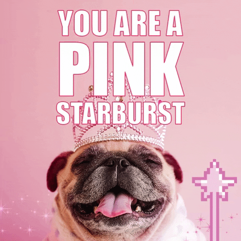 Pink Dogs GIF - Find & Share on GIPHY