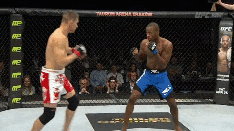 Fight GIF - Find & Share on GIPHY