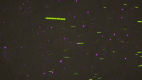 Particle Physics GIF by Fermilab - Find & Share on GIPHY