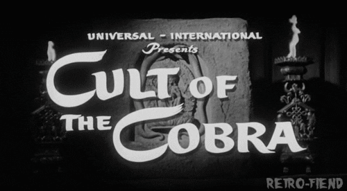 Cult Film Horror GIF by RETRO-FIEND - Find & Share on GIPHY