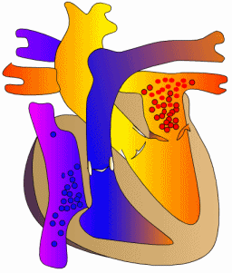 The Normal Heart GIFs - Find & Share on GIPHY