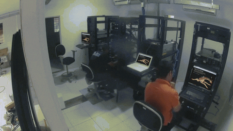 Room Server GIF - Find & Share on GIPHY