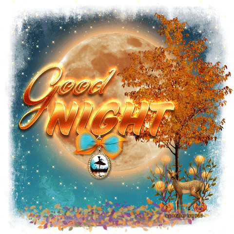 Goodnight GIF - Find & Share on GIPHY