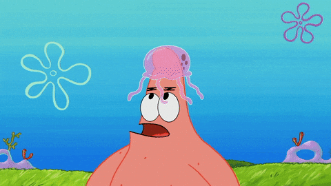 GIF by SpongeBob SquarePants - Find & Share on GIPHY