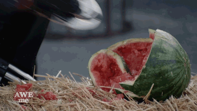 Watermelon GIF - Find & Share on GIPHY