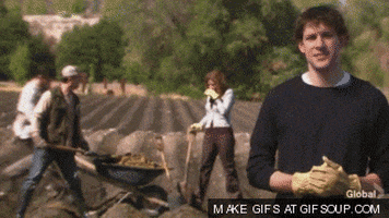Dwight Schrute GIF - Find & Share on GIPHY