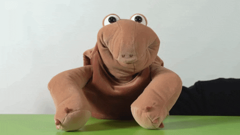 Happy Turtle GIF by Living Puppets - Find & Share on GIPHY