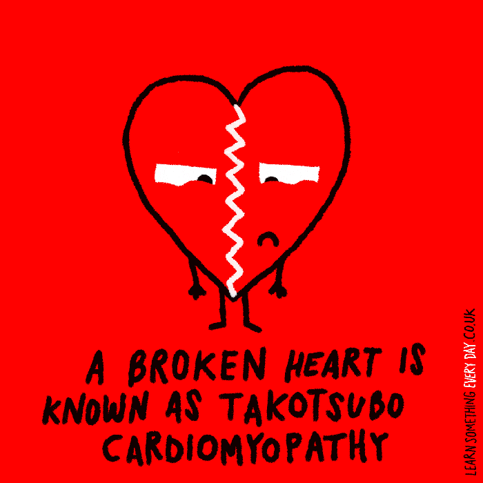 Broken Heart S Find And Share On Giphy
