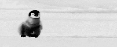 Clumsy GIF - Find & Share on GIPHY