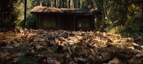 The Cabin In The Woods GIF - Find & Share on GIPHY