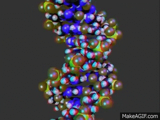 Dna GIF - Find & Share on GIPHY