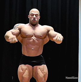 Male Bodybuilder GIFs - Find & Share on GIPHY