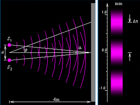 Fringe GIF - Find & Share on GIPHY