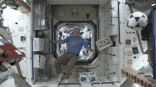 Astronaut GIFs - Find & Share on GIPHY