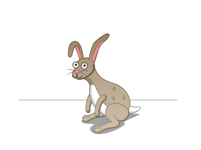 Rabbit GIF - Find & Share on GIPHY