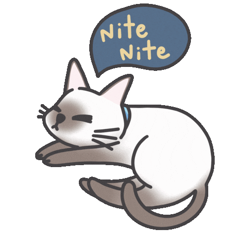 Good Night Cat Sticker for iOS & Android | GIPHY