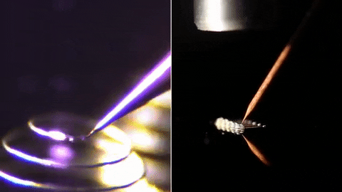 3D Metal GIF by Harvard University - Find & Share on GIPHY