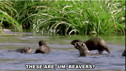 Documentary GIF - Find & Share on GIPHY