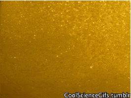Glitter Precipitate GIF - Find & Share on GIPHY