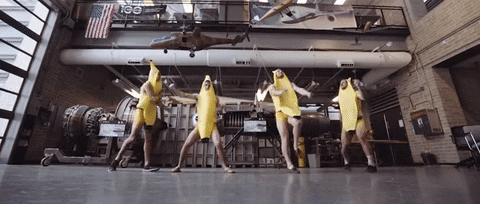 Flugtag GIF by MIT - Find & Share on GIPHY