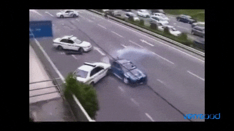 Cops And Donuts GIFs - Find & Share on GIPHY