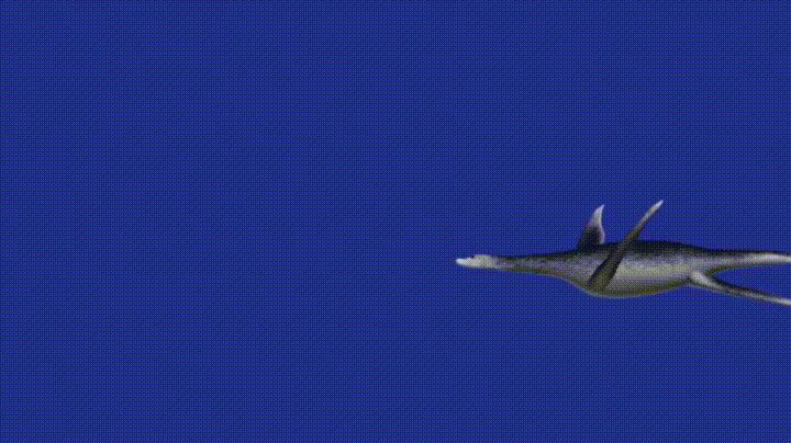 Plesiosaurs GIFs - Get the best GIF on GIPHY