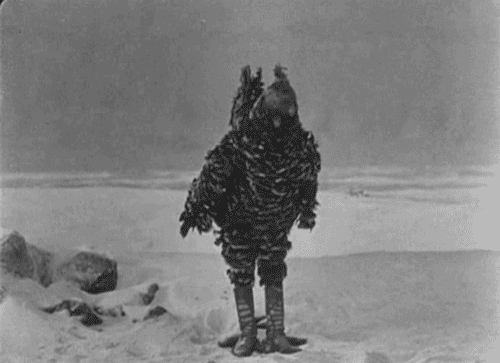 Assoziationen zum neuen Uni-Präsidenten.. | Kleiner Kasseler ...