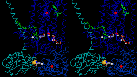 Complex GIF - Find & Share on GIPHY