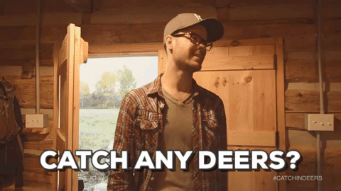 - Find & Share on GIPHY