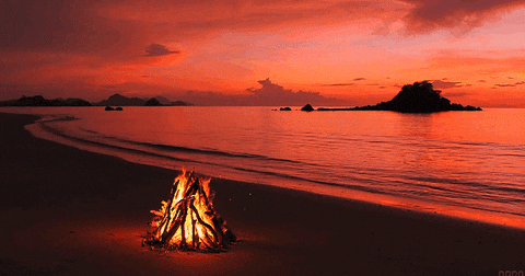 Campfire GIF - Find & Share on GIPHY