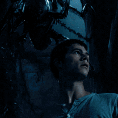 The Maze Runner GIF - Find & Share on GIPHY