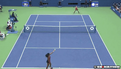 Serena Williams GIF - Find & Share on GIPHY