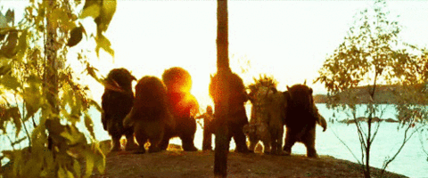 Wild Things GIFs - Find & Share on GIPHY