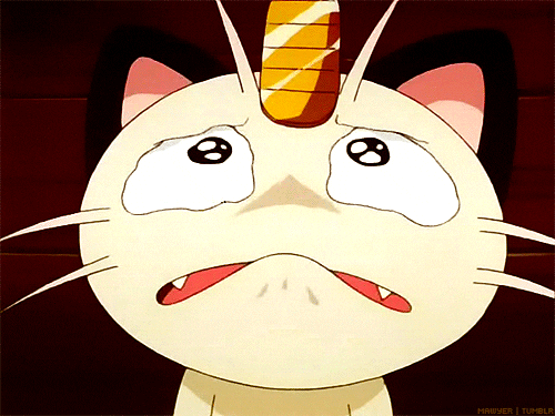 Meowth GIF - Find & Share on GIPHY