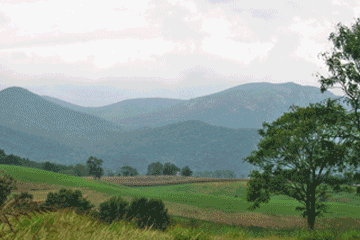 Land GIF - Find & Share on GIPHY