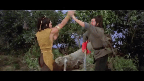 Kung Fu GIF by Shaw Brothers - Find & Share on GIPHY