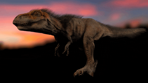 T Rex Dinosaur GIF by American Museum of Natural History - Find & Share on GIPHY