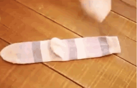 Socks GIF - Find & Share on GIPHY