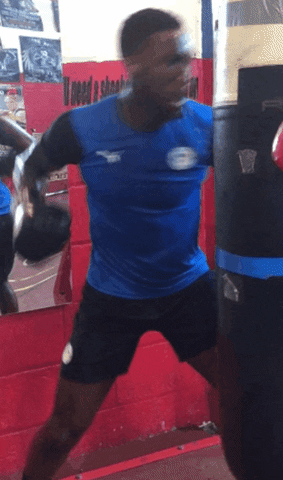 Punch Bag GIFs - Get the best GIF on GIPHY