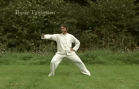 Taijiquan GIFs - Find & Share on GIPHY