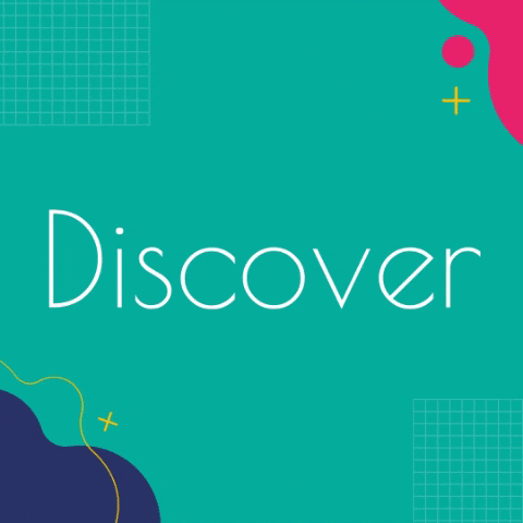 Mix Gif Mix Discover Share Gifs chihuahua italian greyhound mix ...