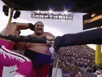 Wrestlemania 9 Wrestling GIF by WWE - Find & Share on GIPHY