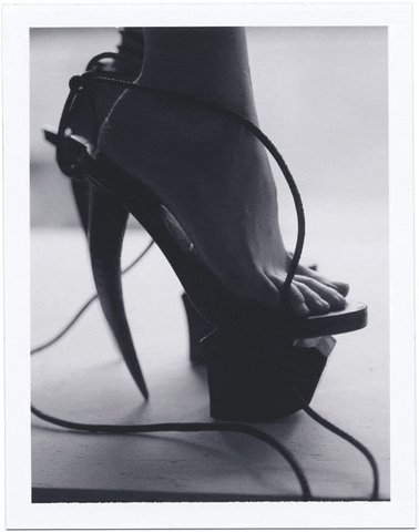 Exotic GIF - Find & Share on GIPHY