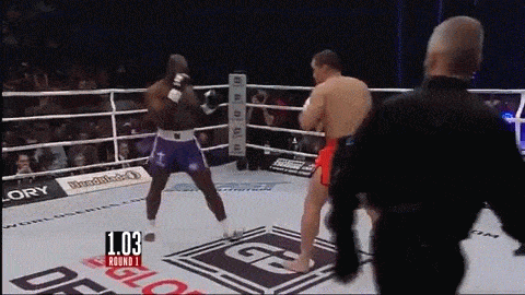 Kickboxing GIF - Find & Share on GIPHY