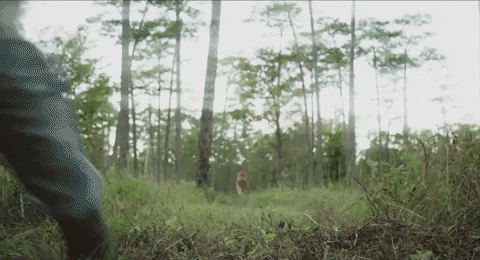 Run Running GIF by VVS FILMS - Find & Share on GIPHY