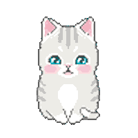 Cat Stickers - Find & Share on GIPHY